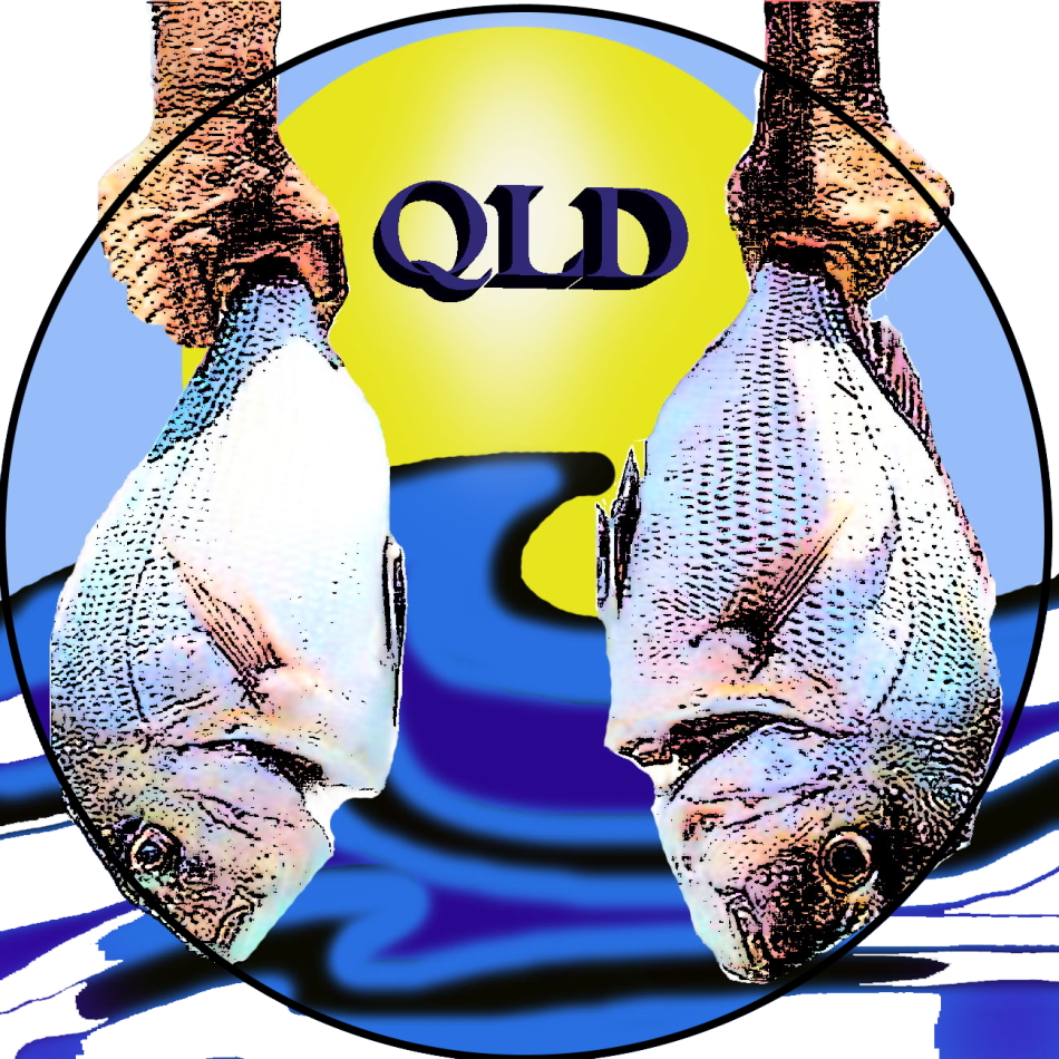 Best Times to Catch Fish by the Moon Phases – Queensland Fishing Photos